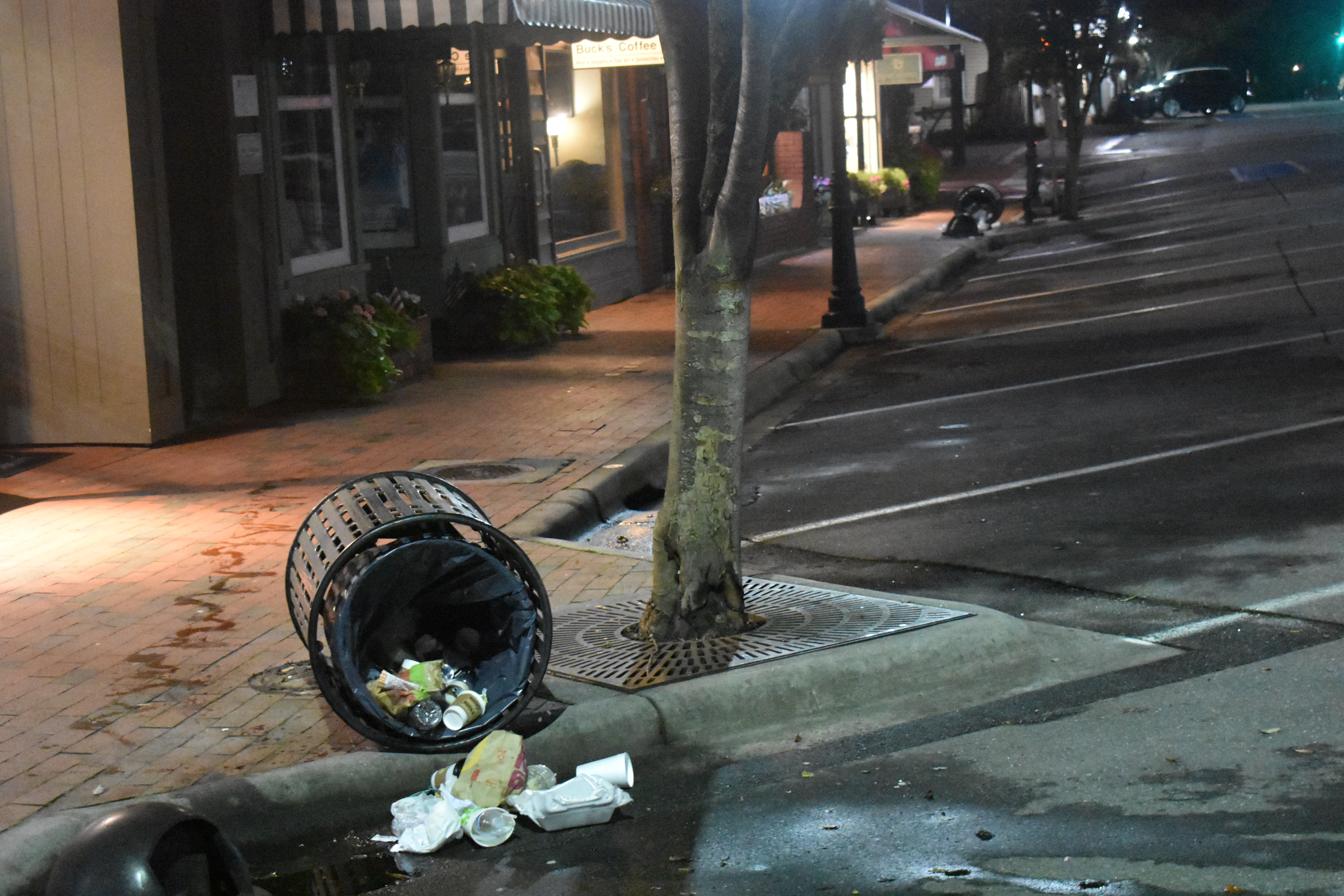 What to do about bears in town | Plateau Daily News