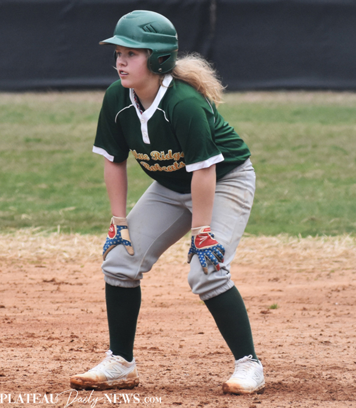 Blue.Ridge.Smoky.Mountain.baseball.ms (28) | Plateau Daily News