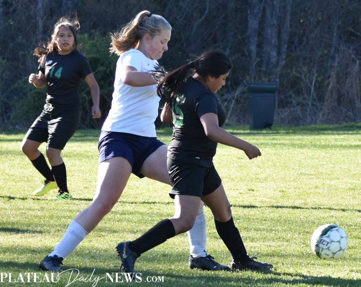 Blue.Ridge.TriCounty.Soccer.V (16) | Plateau Daily News