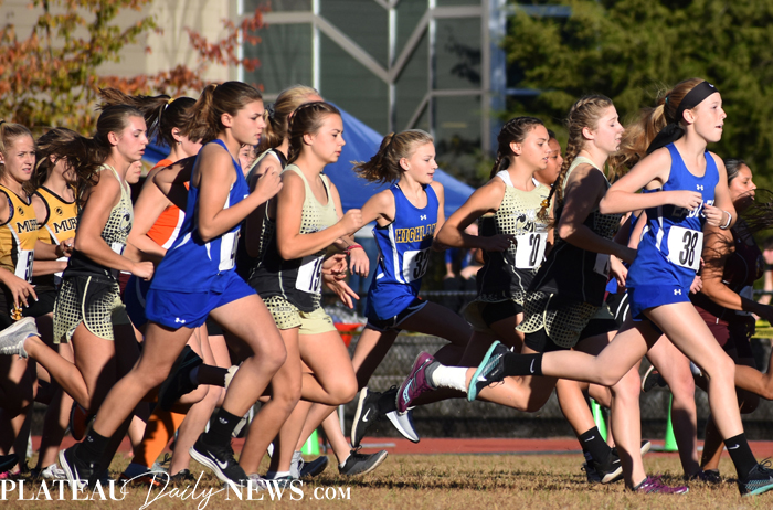 Highlands.Track (29) | Plateau Daily News