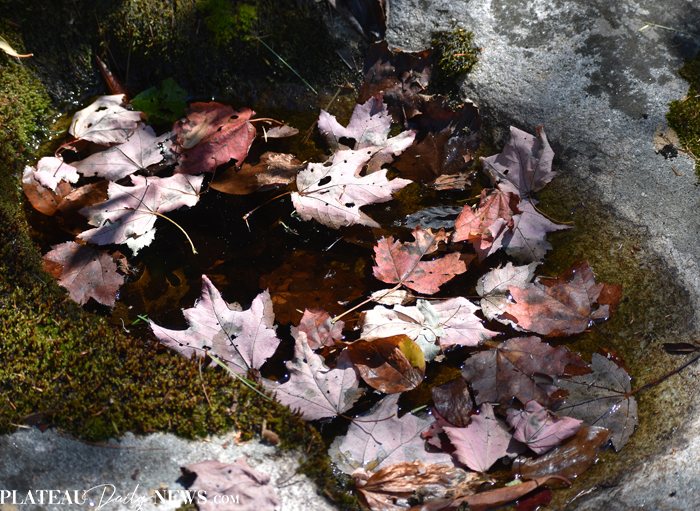 Silver.Run (9) | Plateau Daily News