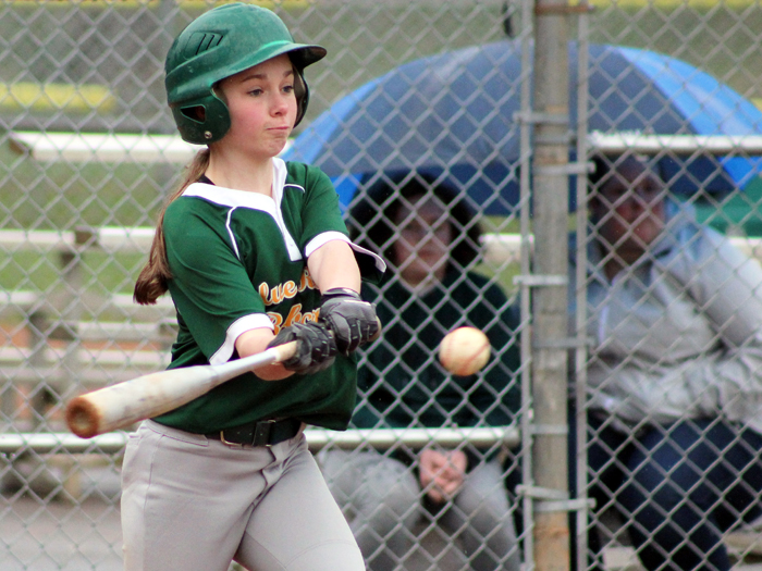 Blue.Ridge.Baseball.Plateau (1) | Plateau Daily News